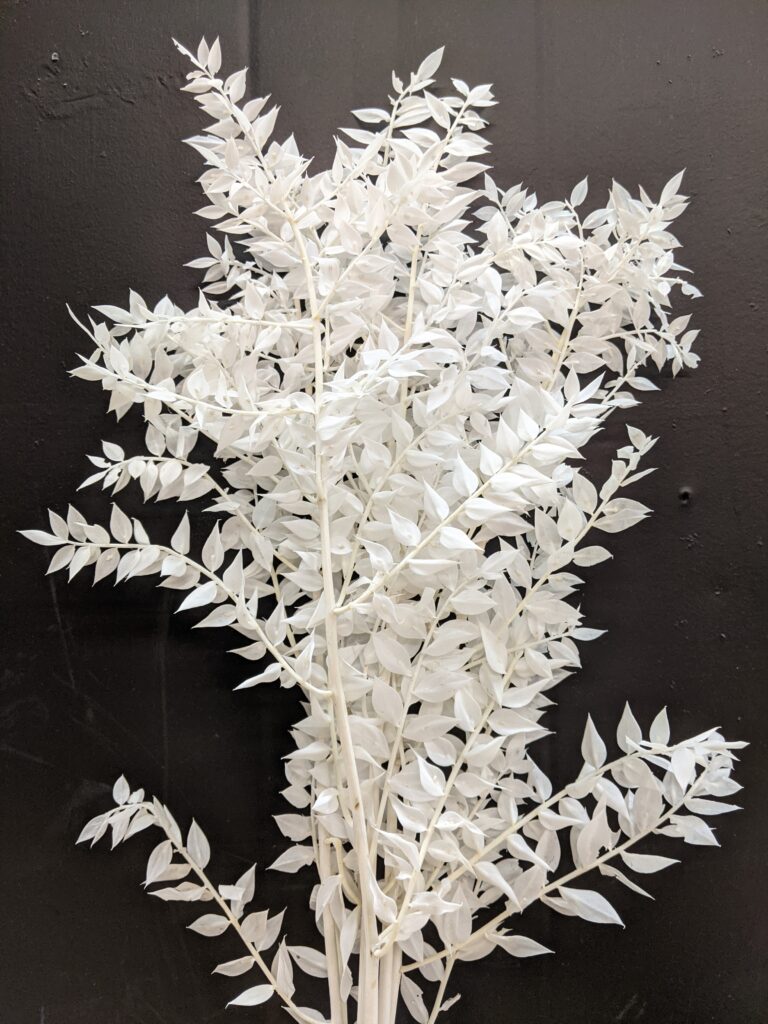 Wholesale Flowers | Flowers Direct | Bulk Flowers Online